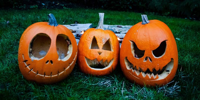 Kyle Perry Q&A - Penguin Books Australia