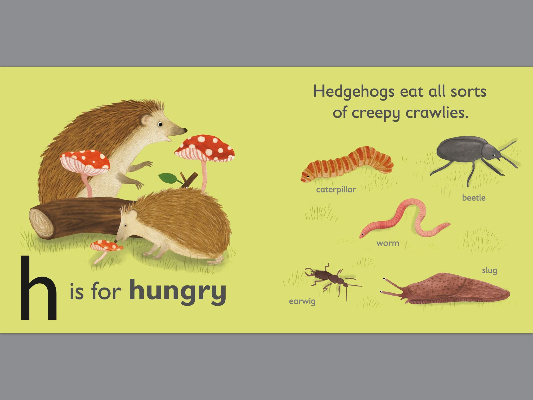 H is for Hedgehog by DK - Penguin Books Australia