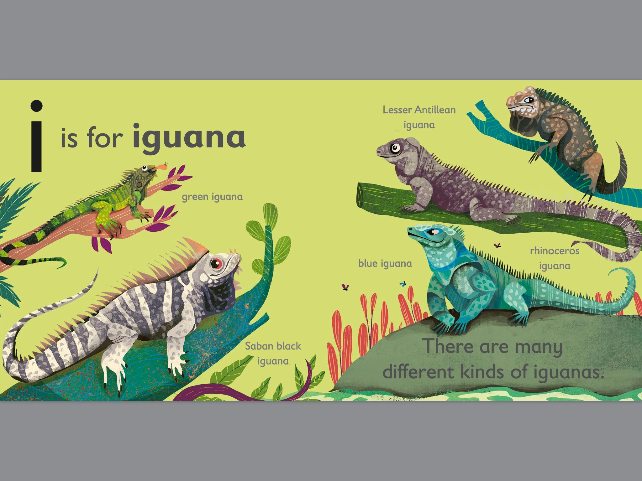 I is for Iguana by DK - Penguin Books Australia