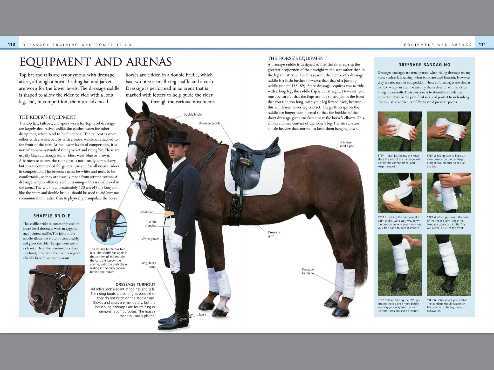 Complete Horse Riding Manual by William Micklem - Penguin Books New Zealand