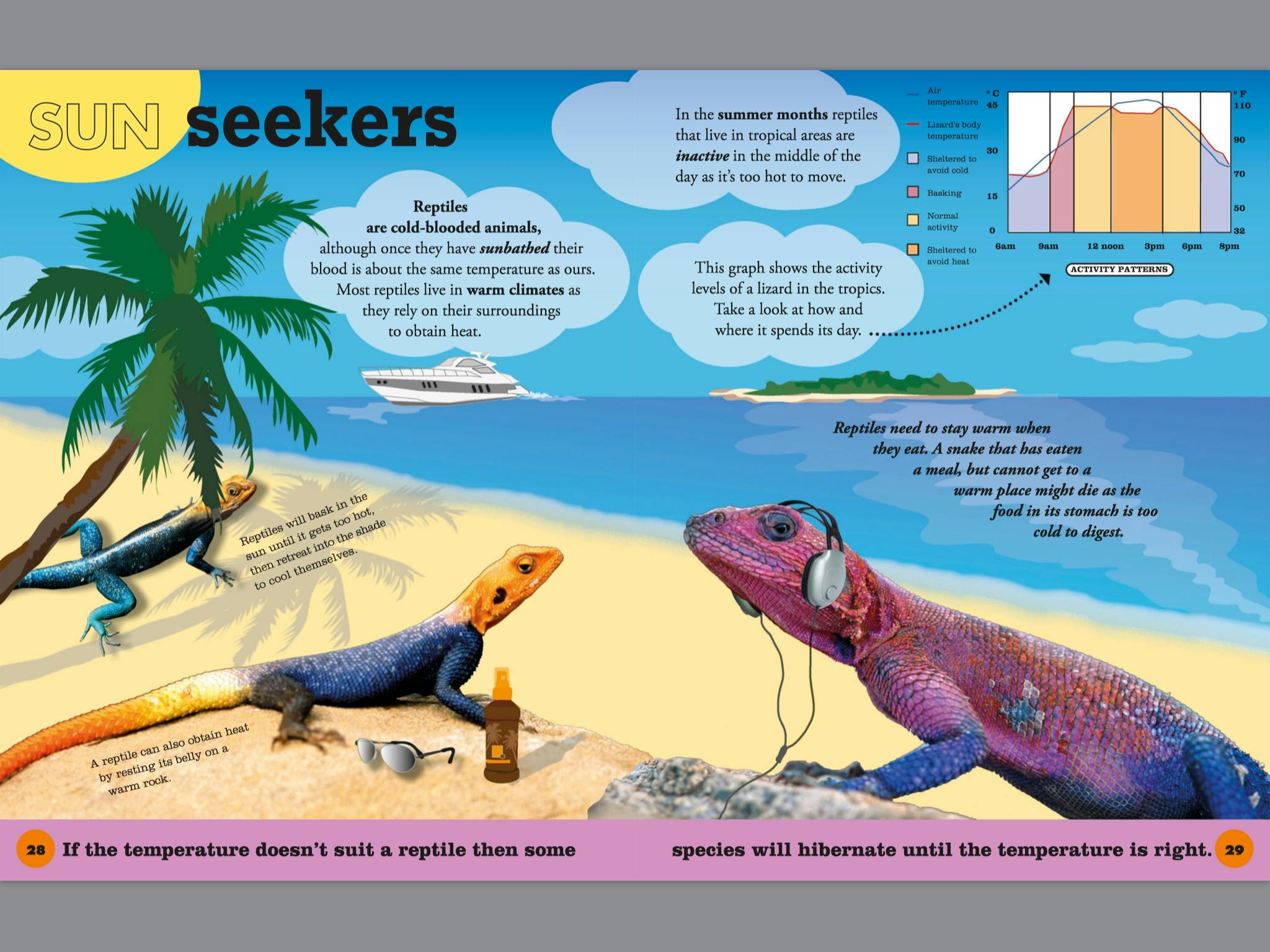 Everything You Need To Know About Frogs by DK - Penguin Books Australia