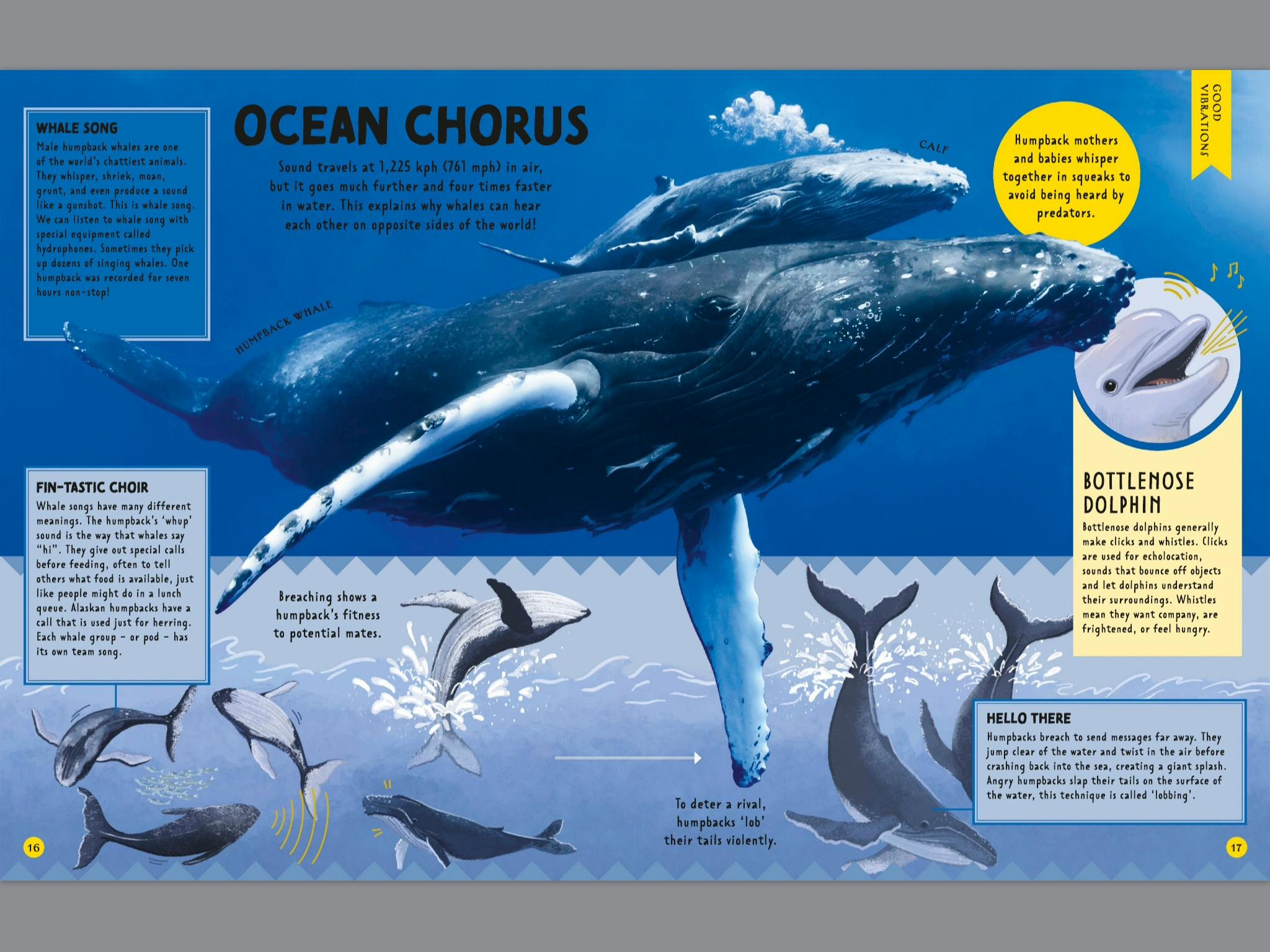 Animal Talk by Tim Friend - Penguin Books Australia