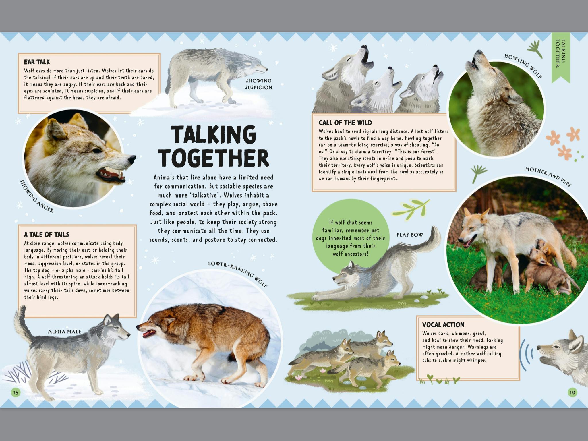 Animal Talk by Tim Friend - Penguin Books Australia