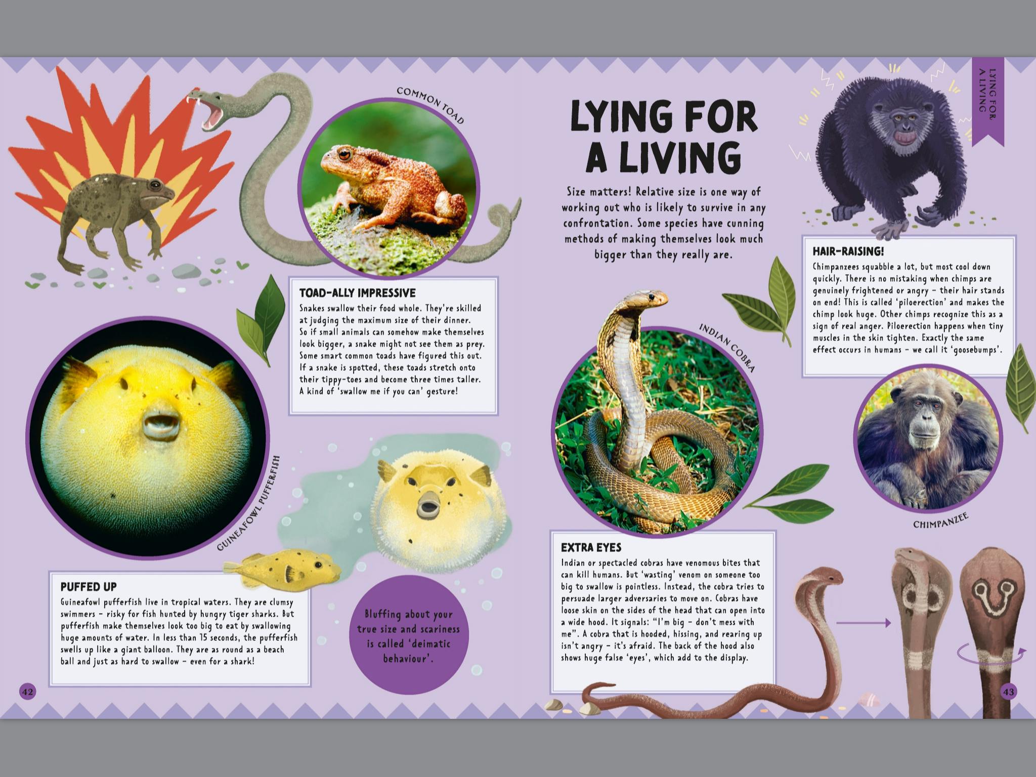 Animal Talk by Tim Friend - Penguin Books Australia